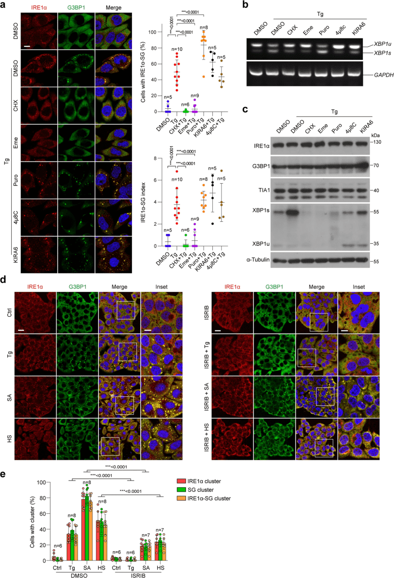 AbMole小课堂丨Emetine（依米丁）：一种多效性的蛋白合成抑制剂及其在病毒、肿瘤和抗原虫中的研究应用_腾讯新闻