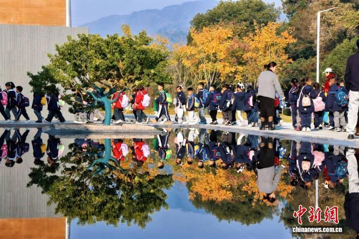 满树金黄落地成“宝” 浙江鹿城“一片叶子”撬动初冬流量_腾讯新闻