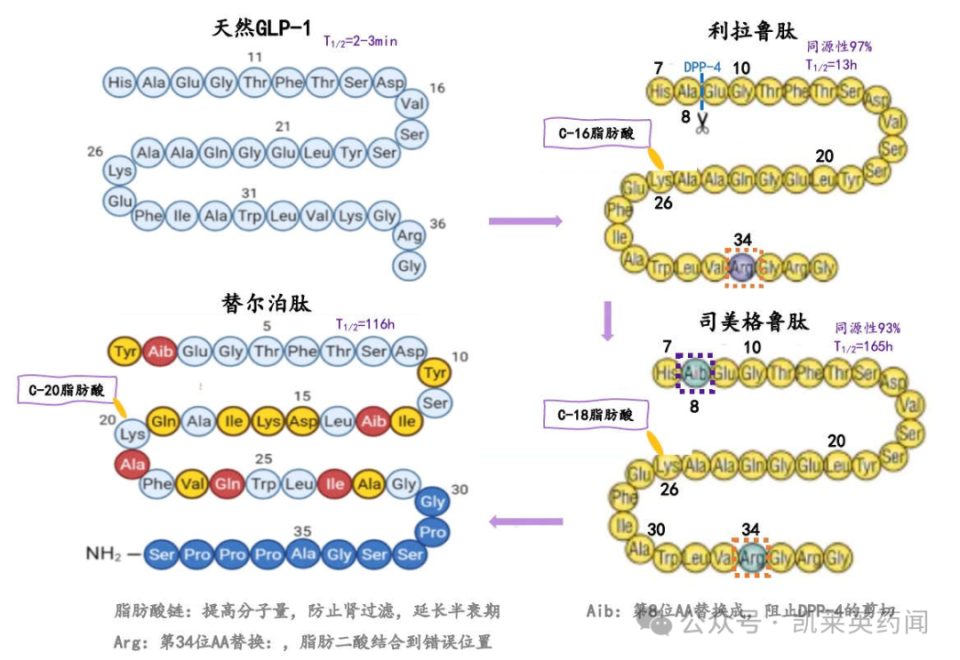 石药集团：首次披露每周一次GLP-1RA“拳头产品”TG103的减重临床结果！_腾讯新闻