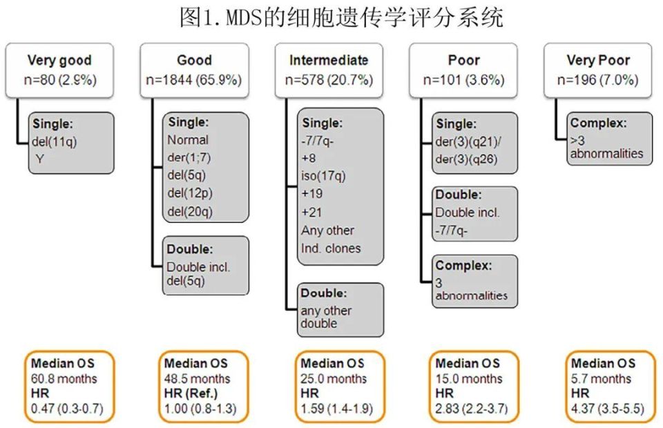 骨髓增生异常综合征 (MDS)的诊断、风险分层和治疗_腾讯新闻