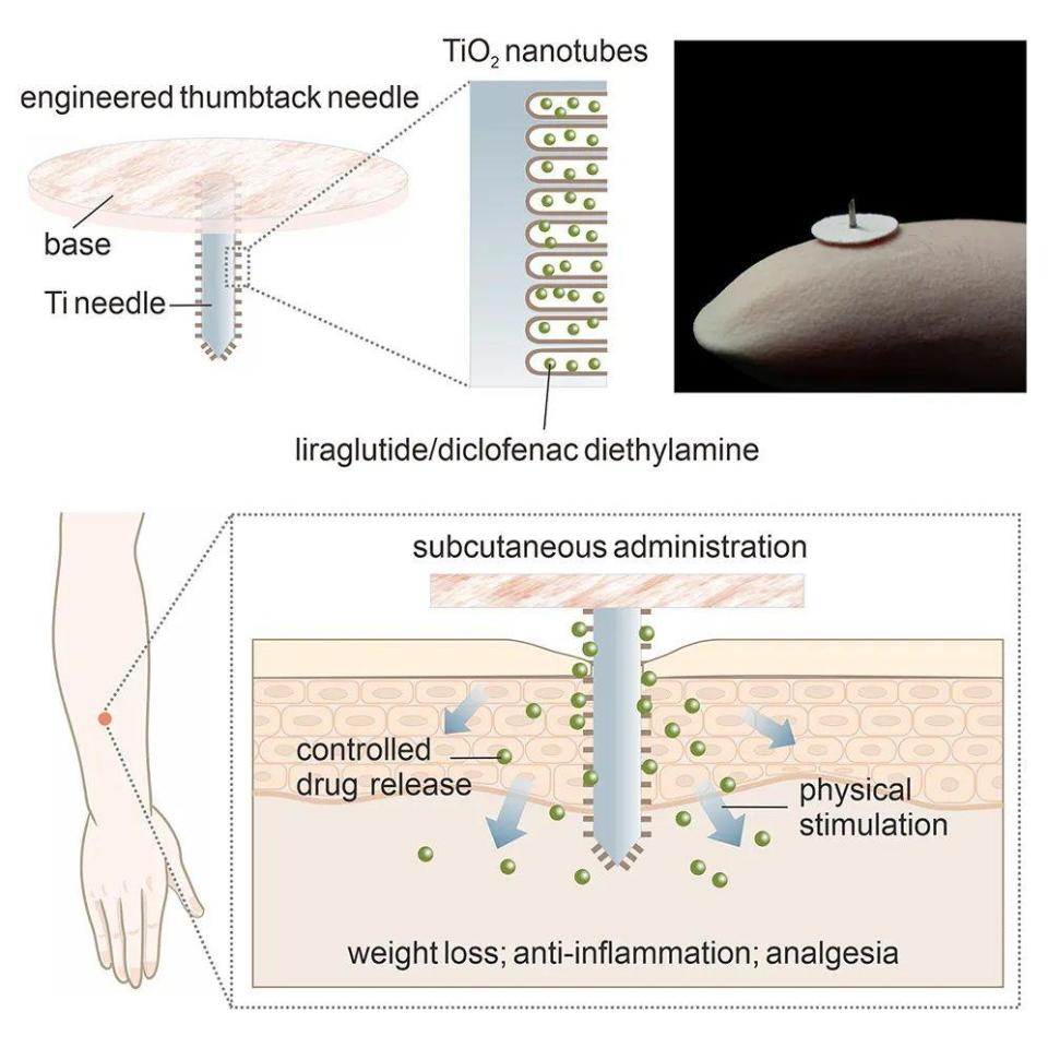Cell Biomaterials首刊三篇论文上线！_腾讯新闻
