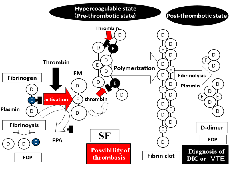 D-二聚体与 FDP 同时异常升高，有何意义？一文梳理 8 点解读_腾讯新闻