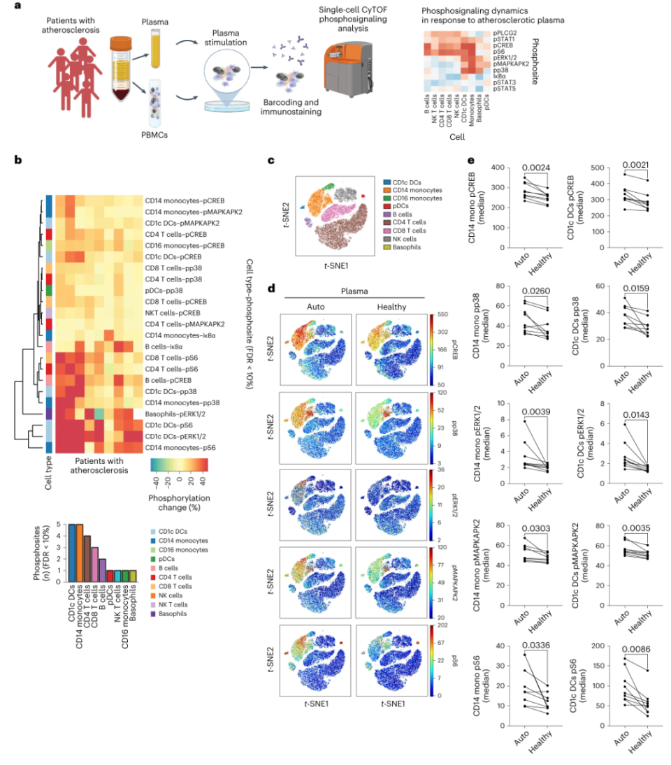 新刊推荐 | Nature Cardiovascular Research 全新动脉粥样硬化专题集锦，欢迎阅读！_腾讯新闻
