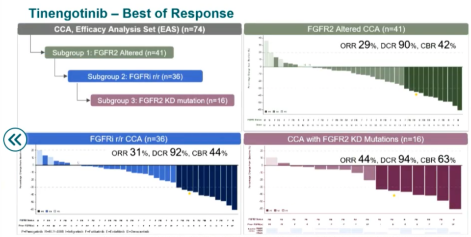 ESMO五分钟丨赵海涛教授：盘点胆管癌治疗领域前沿进展_腾讯新闻