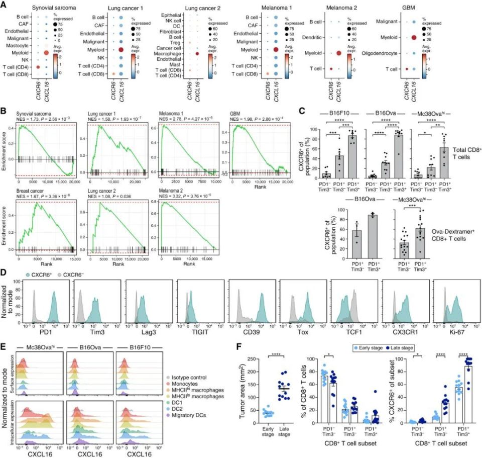 CRM：哈佛/斯坦福团队借助全新算法，找到调节CD8+T细胞抗癌战斗力的新通路！_腾讯新闻