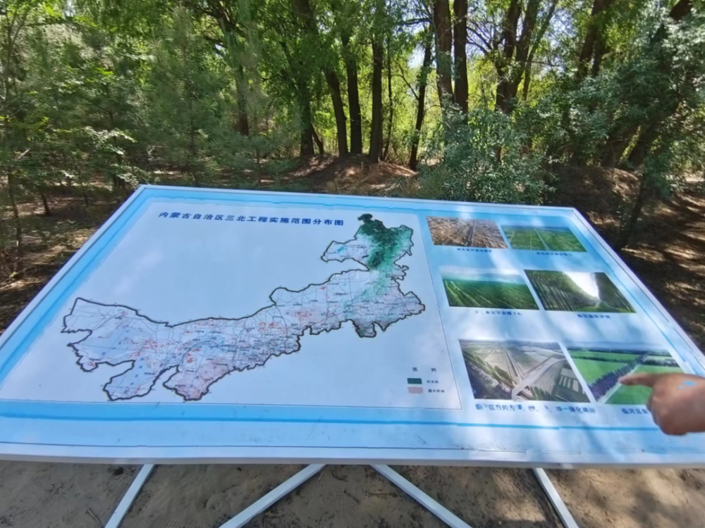 新华林场的瀚海奇迹_腾讯新闻