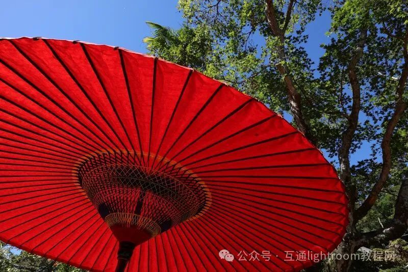 SIGMA 10-18mm F2.8 DC DN｜Contemporary （佳能RF）镜头评测_腾讯新闻