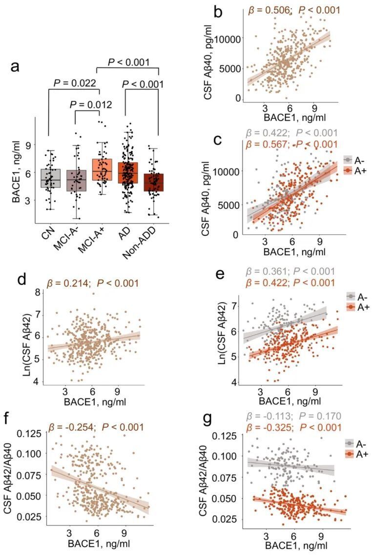 《神经病理学报》：中科大团队发现，脑脊液BACE1水平与皮质厚度和认知呈正相关，可能具有针对AD神经退行性变的保护作用_腾讯新闻