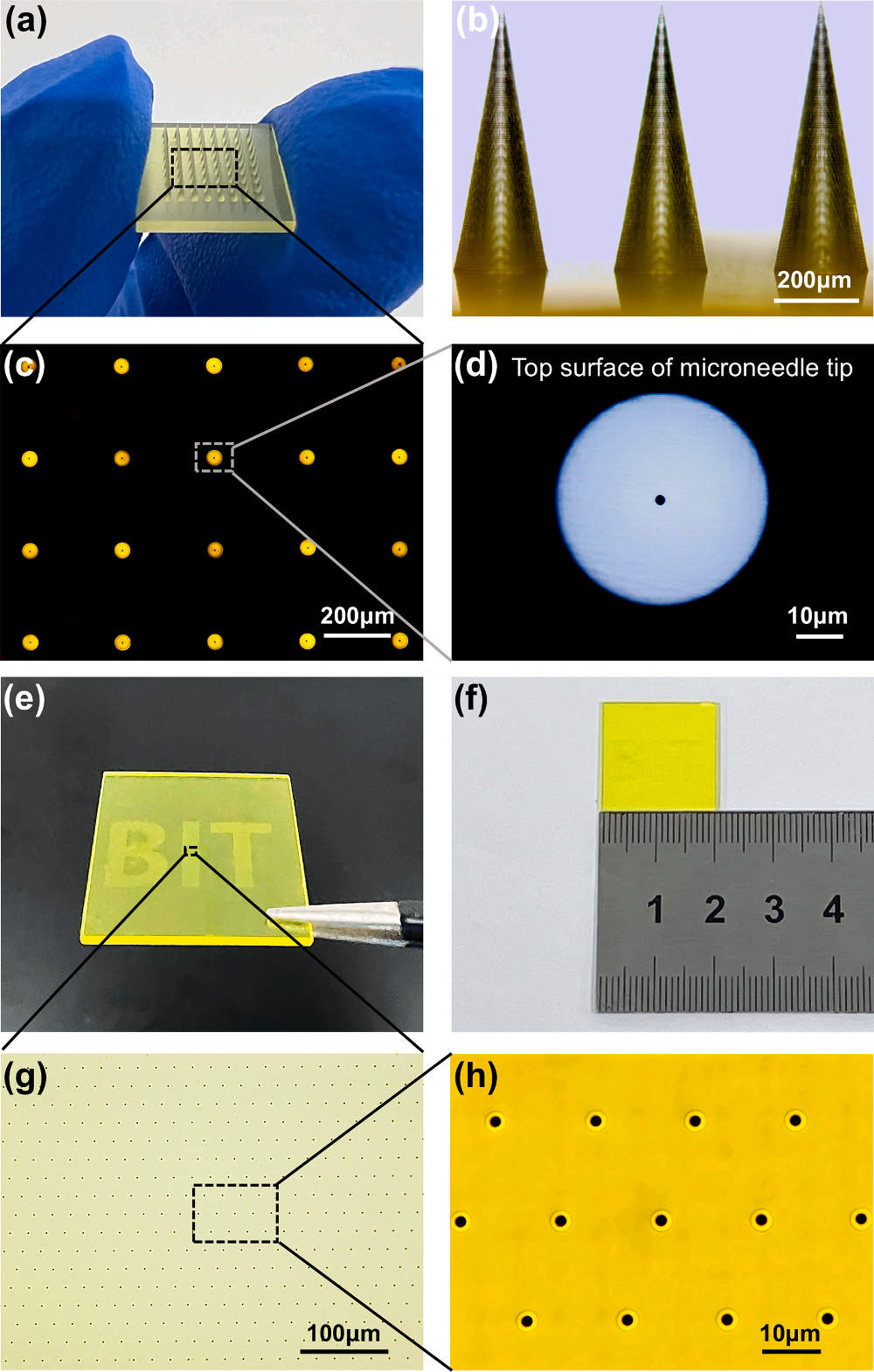 北京理工大学姜澜院士、韩伟娜研究员课题组《Addit. Manuf.》：具有高三维能力和高结构精度的定制微针的制造_腾讯新闻