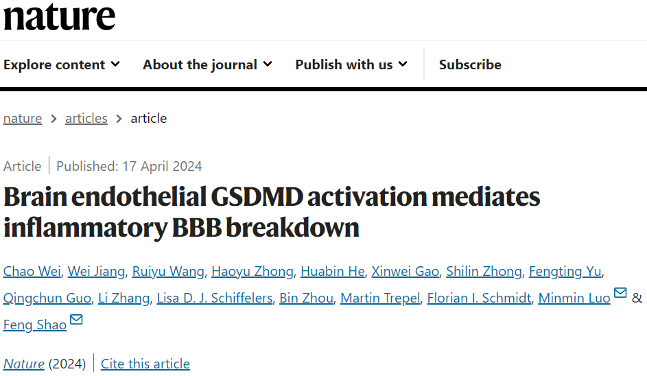 Nature | 邵峰/罗敏敏揭示GSDMD的激活是炎症性血脑屏障破坏的关键分子机制_腾讯新闻