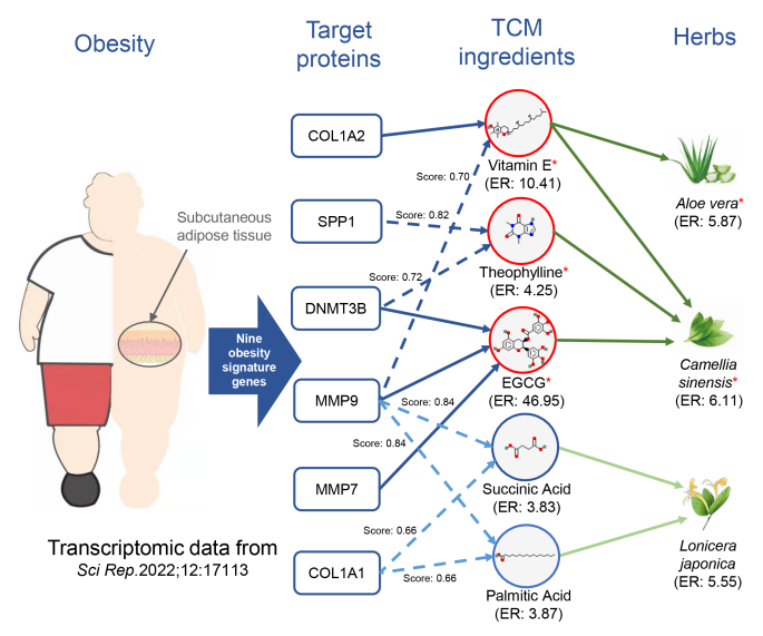 NAR| BATMAN-TCM 2.0：国家蛋白质科学中心李栋/刘中扬团队建立升级版中药成分-人体靶标蛋白相互作用网络_腾讯新闻