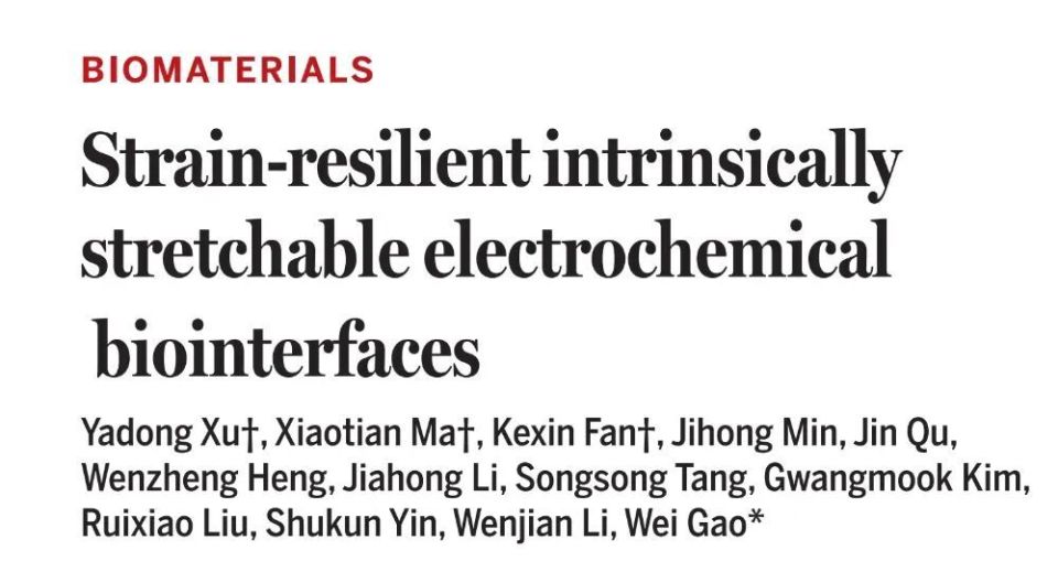 北京大学徐亚东/加州理工高伟教授团队最新 Science：耐拉伸电化学生物界面，实现动态组织多模态分子监测！_腾讯新闻
