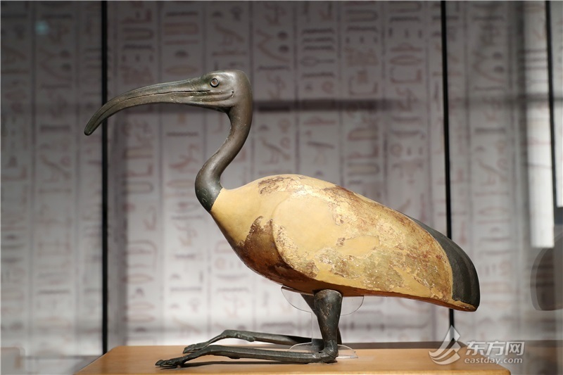 古埃及掌管智慧的神来了！上海博物馆“法老的国度”抢先揭秘| 组图_腾讯新闻