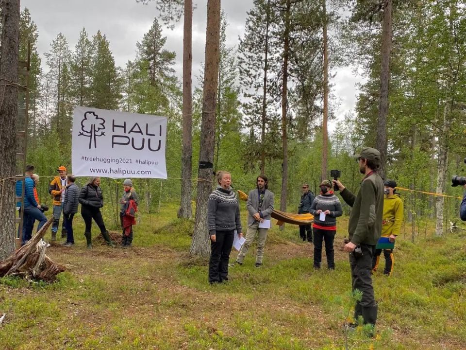 从树木中获取“能量”？上海年轻人开始流行“抱树”解压了！_腾讯新闻
