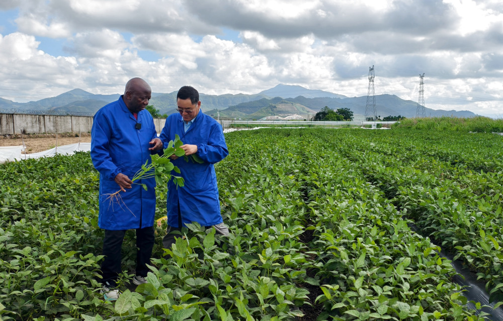 在海南，与世界分享“一粒种子”的中国方案_腾讯新闻