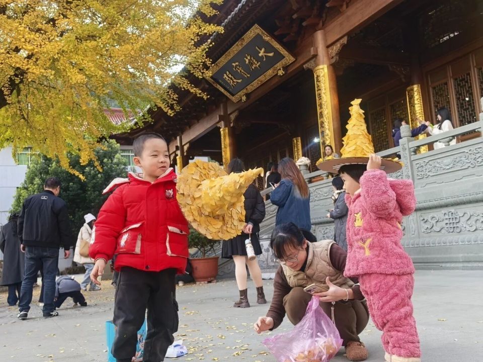 霞浦建善寺的银杏，把冬日揉成了金黄的诗_腾讯新闻