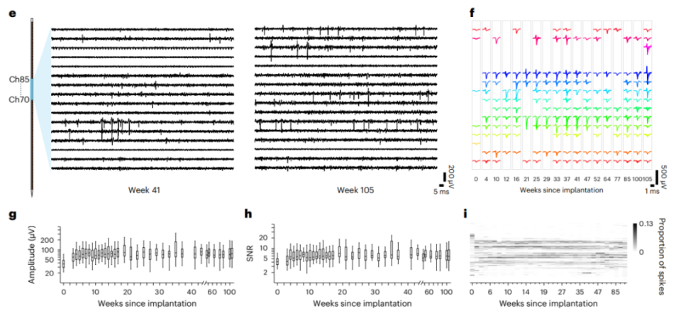 Nature子刊：北京大学段小洁团队开发新型探针，可实现非人灵长类动物整脑尺度神经活动监测_腾讯新闻