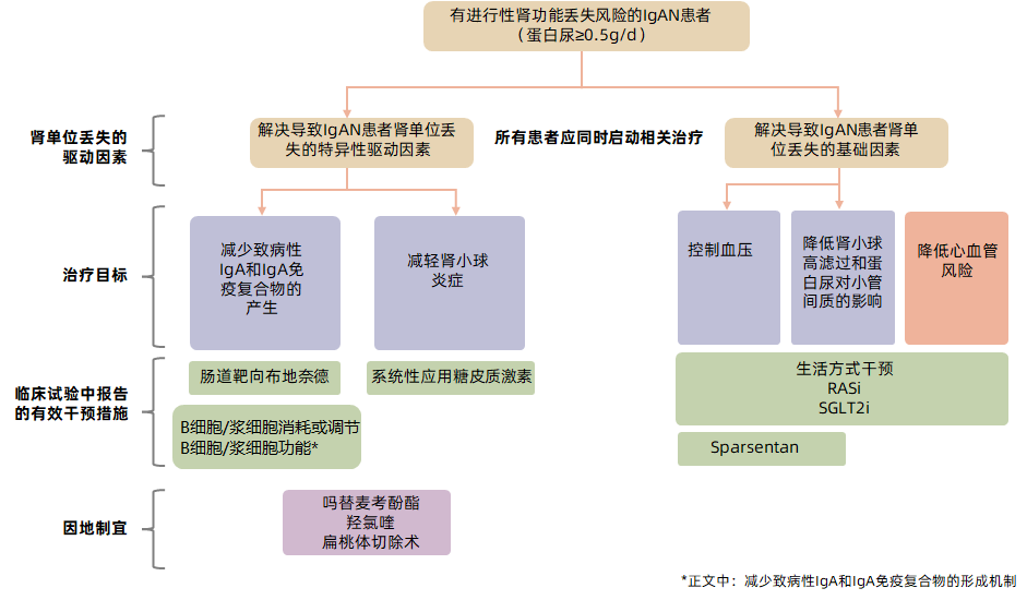 新进展，新未来丨2024 KDIGO IgAN指南征求意见稿发布，治疗策略重大更新！_腾讯新闻