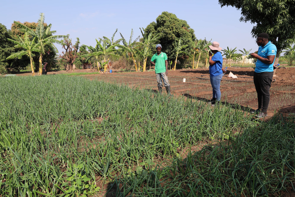 （国际）探访中国在非洲援建的第一个农业技术示范中心_腾讯新闻