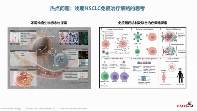 王洁教授：免疫、靶向、ADC、联合 …… 一文总结肺癌内科治疗最新进展！_腾讯新闻