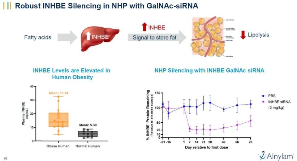 只需半年一针？RNAi疗法开辟健康减肥新策略_腾讯新闻