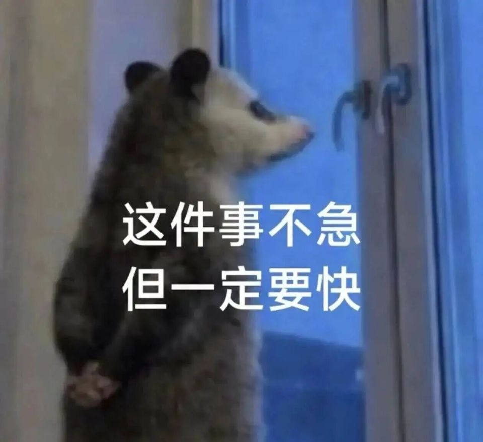“背手负鼠”火了！网友：我将全网收集这只负鼠的表情包_腾讯新闻