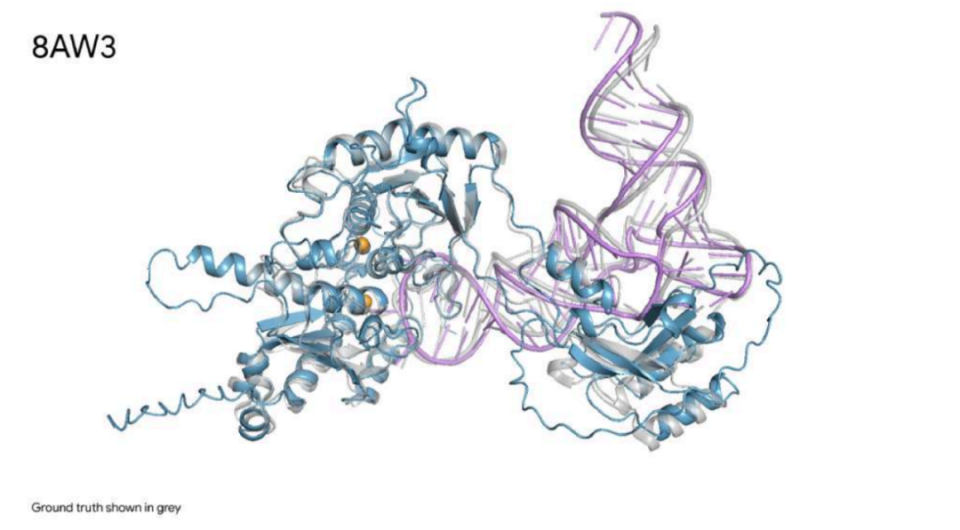2024年诺奖技术再升级，AlphaFold3来了！超越蛋白质结构，全面预测蛋白质与所有生命分子相互作用_腾讯新闻