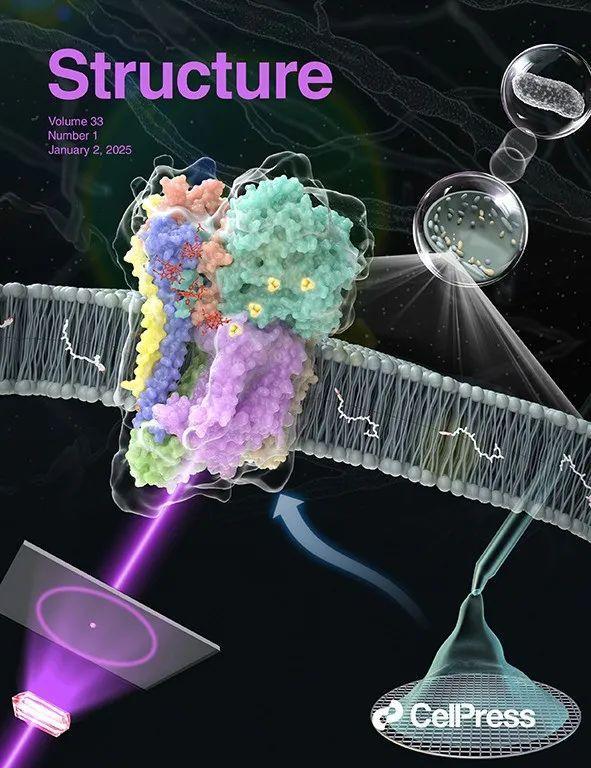 2025年1月，这些研究登上了Cell Press期刊封面！_腾讯新闻