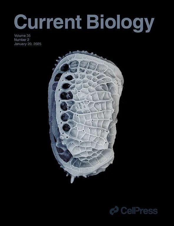 2025年1月，这些研究登上了Cell Press期刊封面！_腾讯新闻