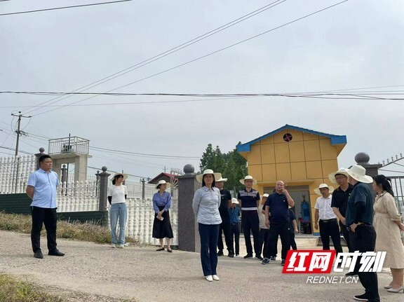 南县中鱼口镇：开展巡河巡堤 抓牢防汛备汛腾讯新闻 4859
