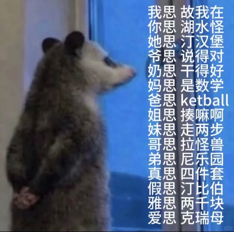 “背手负鼠”火了！网友：我将全网收集这只负鼠的表情包_腾讯新闻