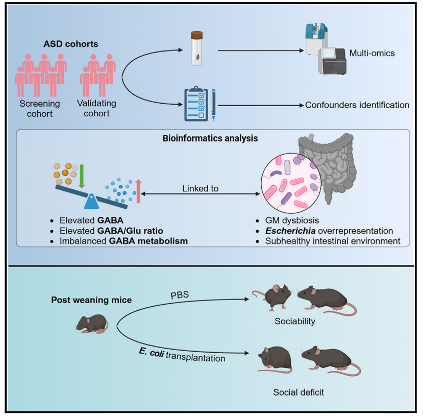 CRM：中英科学家发现，与大肠杆菌相关的GABA失衡，是轻度自闭症谱系障碍的代谢特征！_腾讯新闻