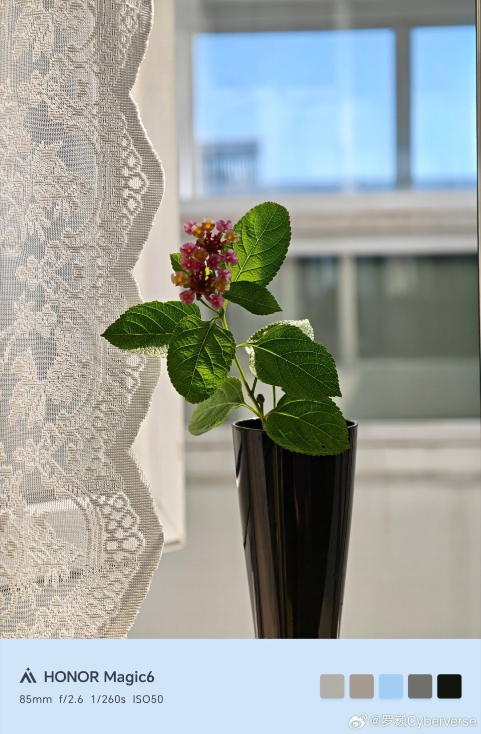 荣耀Magic8 Pro影像、解锁等曝光，罗巍晒AiMAGE影像新水印样张_腾讯新闻