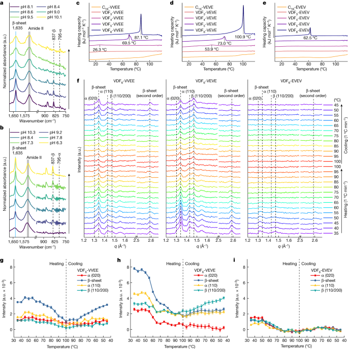 超分子大牛，四院院士，最新Nature，中国青年学者一作！_腾讯新闻