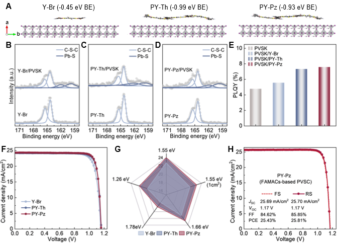 港城大Alex K.-Y. Jen团队Joule：聚合Y系列非富勒烯受体作为高效钙钛矿太阳能电池的电子传输层_腾讯新闻