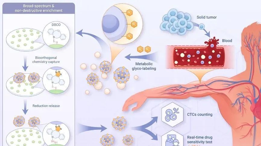 The Innovation Life | Split-HaloTag：为细胞生理活动的精准记录提供新方案_腾讯新闻