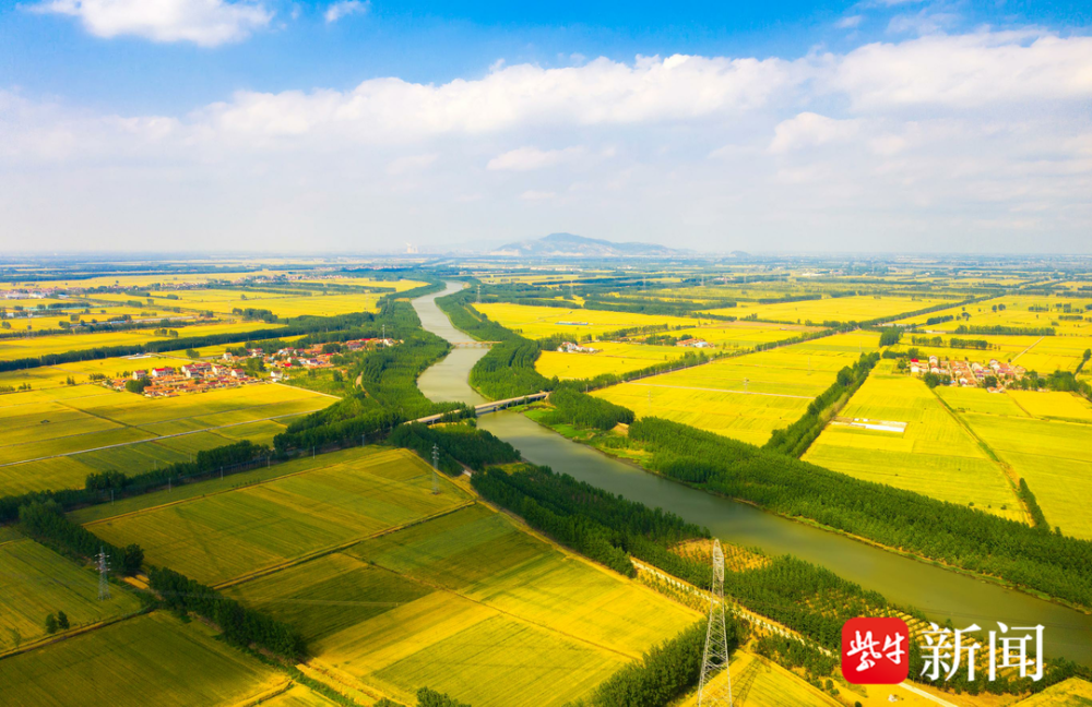 产业筑梦，田园如画：东海县平明镇的幸福故事_腾讯新闻