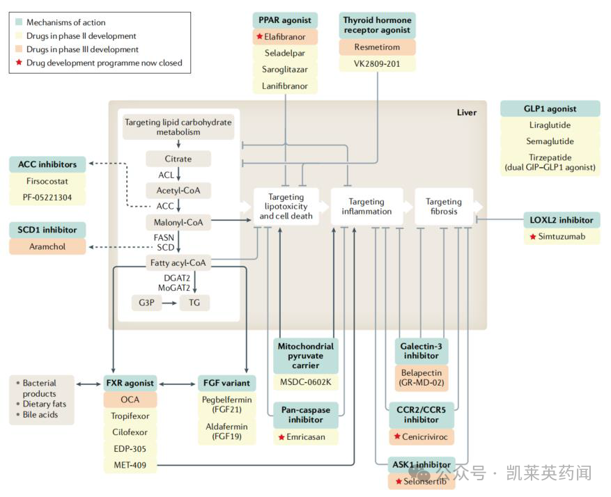 华东医药：GLP-1/GIP双靶点长效激动剂国内获批临床，用于治疗MASH_腾讯新闻