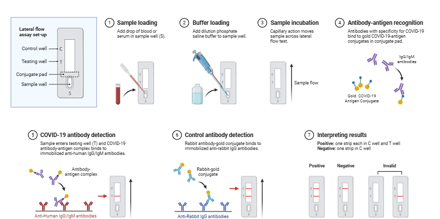 AbMole详解： DNP-BSA--免疫学研究与检测的得力助手_腾讯新闻
