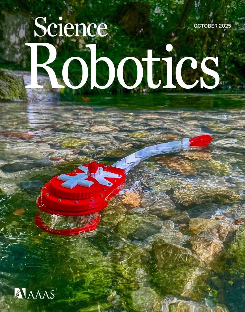 Sci.Rob.最新封面！EPFL造出复现斑马鱼视动反应的仿生机器鱼_腾讯新闻