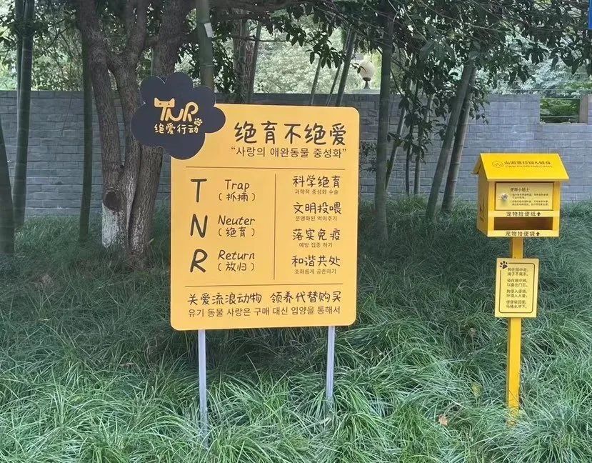 “TNR”成了一个时髦的词？“吃力不讨好”的流浪猫治理，他们行动了！_腾讯新闻