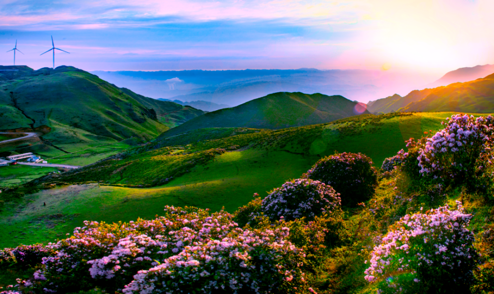 去有风、有云、有美食的地方！贵州这些大草原，你都打卡了吗_腾讯新闻
