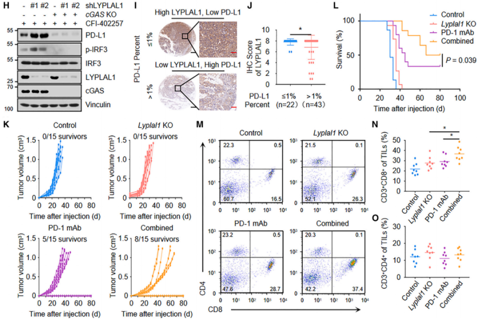 MC：西安交大/哈佛团队发现调节STING通路增强免疫治疗效果的新方法！_腾讯新闻