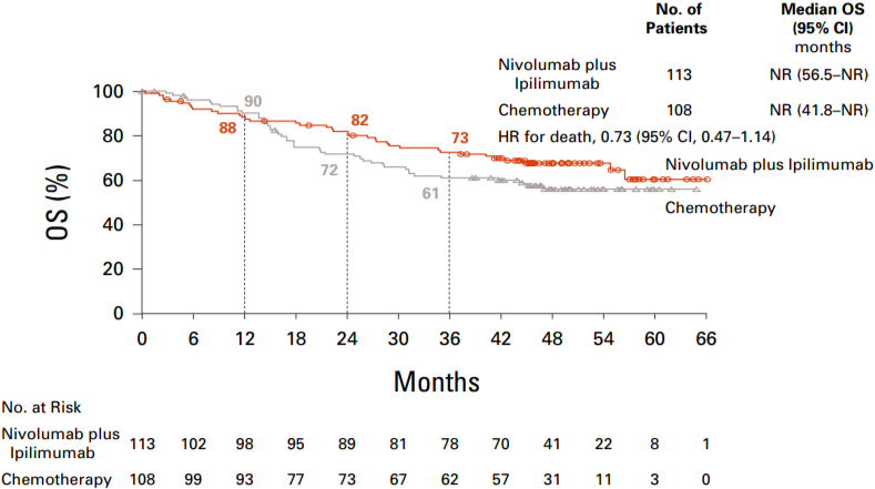 EFS 超 54 个月！CheckMate-816 研究肺癌新辅助双免队列数据来袭_腾讯新闻