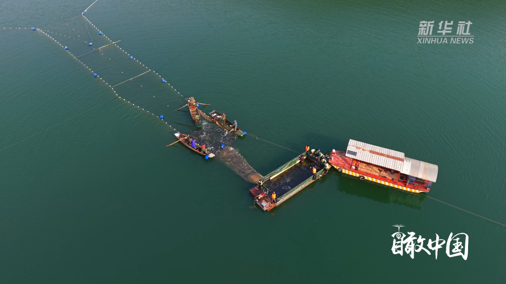 瞰中国｜湖北南漳：鱼跃丰收乐_腾讯新闻