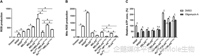 AbMole小讲堂丨Oligomycin A（寡霉素A）：ATP合成酶抑制剂在肿瘤、抗真菌、代谢领域的研究应用_腾讯新闻
