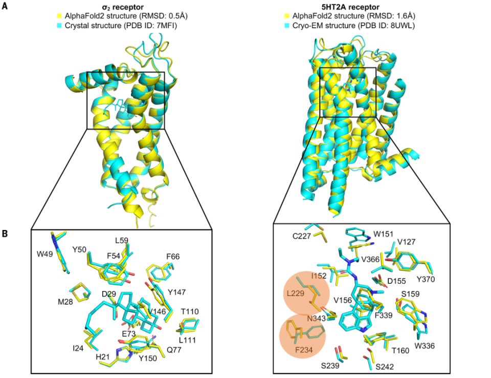 中国学者一作Science论文，利用AlphaFold2结构预测，指导药物发现_腾讯新闻