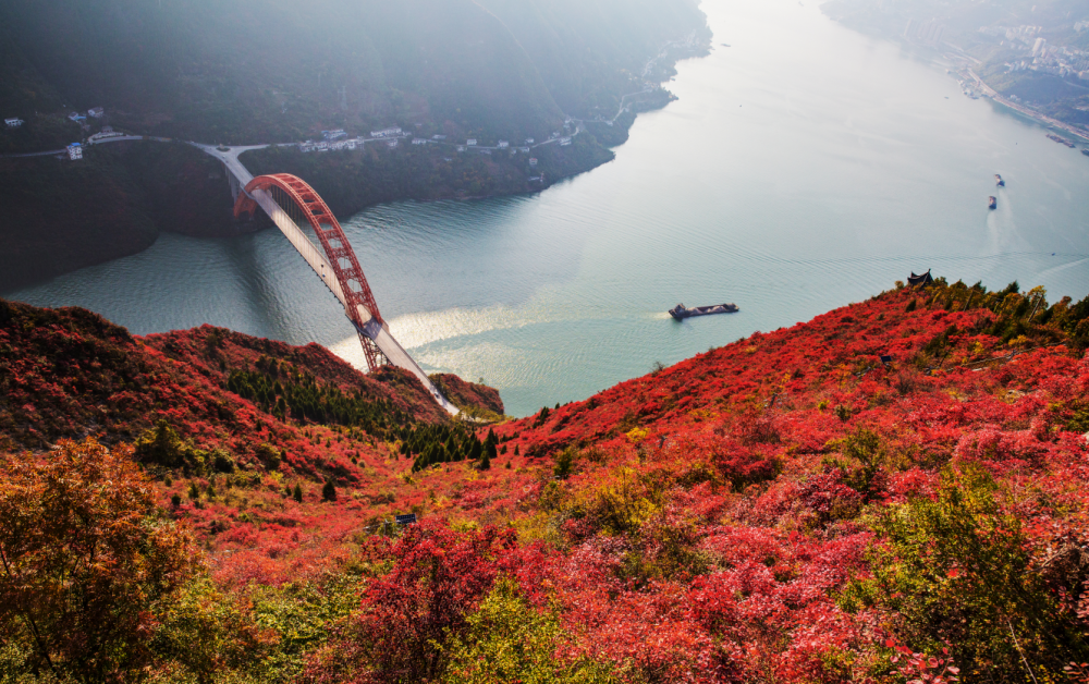 “渝”见大江奔绿丨巫峡披“红装” 石山变“金山”_腾讯新闻