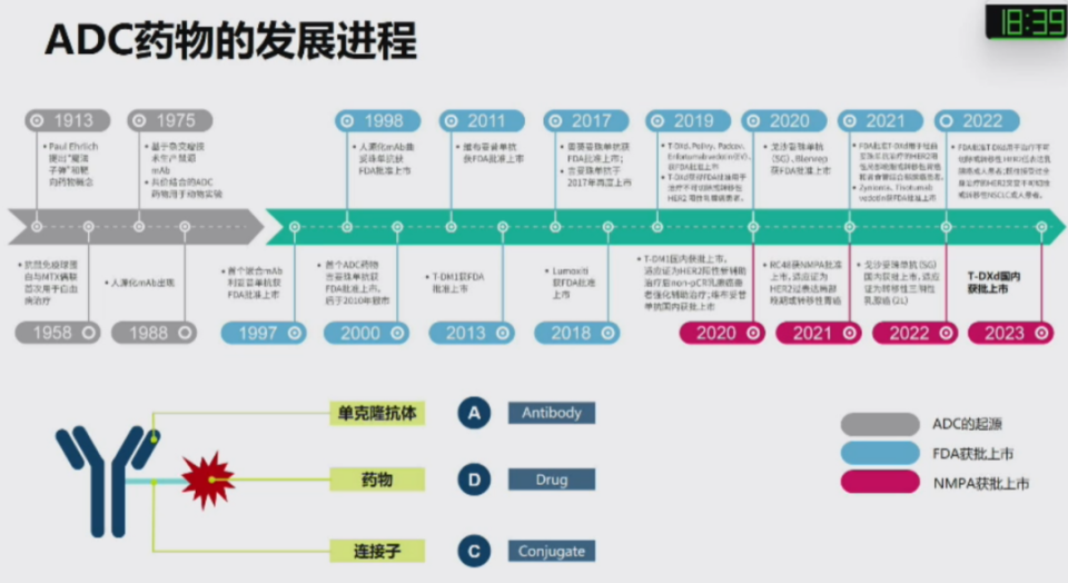 ADC 药物联合，如何才能 1＋1＞2_腾讯新闻