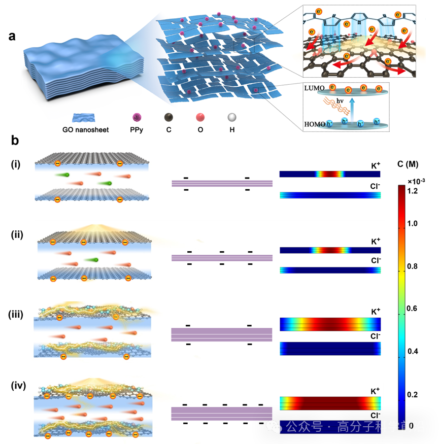 复旦大学孔彪团队Angew：开发超组装层状导电异质通道PyGO——从光-电耦合到智能离子传输的探索_腾讯新闻